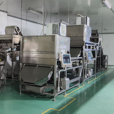 Advanced Color Sorter with 90%+ Sorting Accuracy